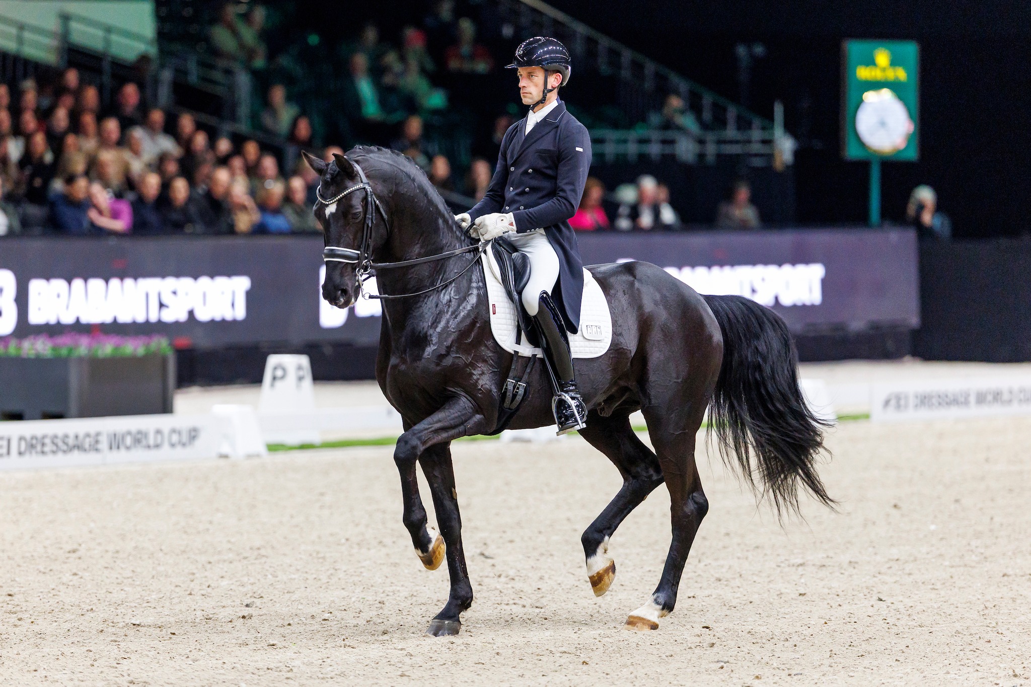 Zonik Plus | Holstud | Expert in equine reproduction